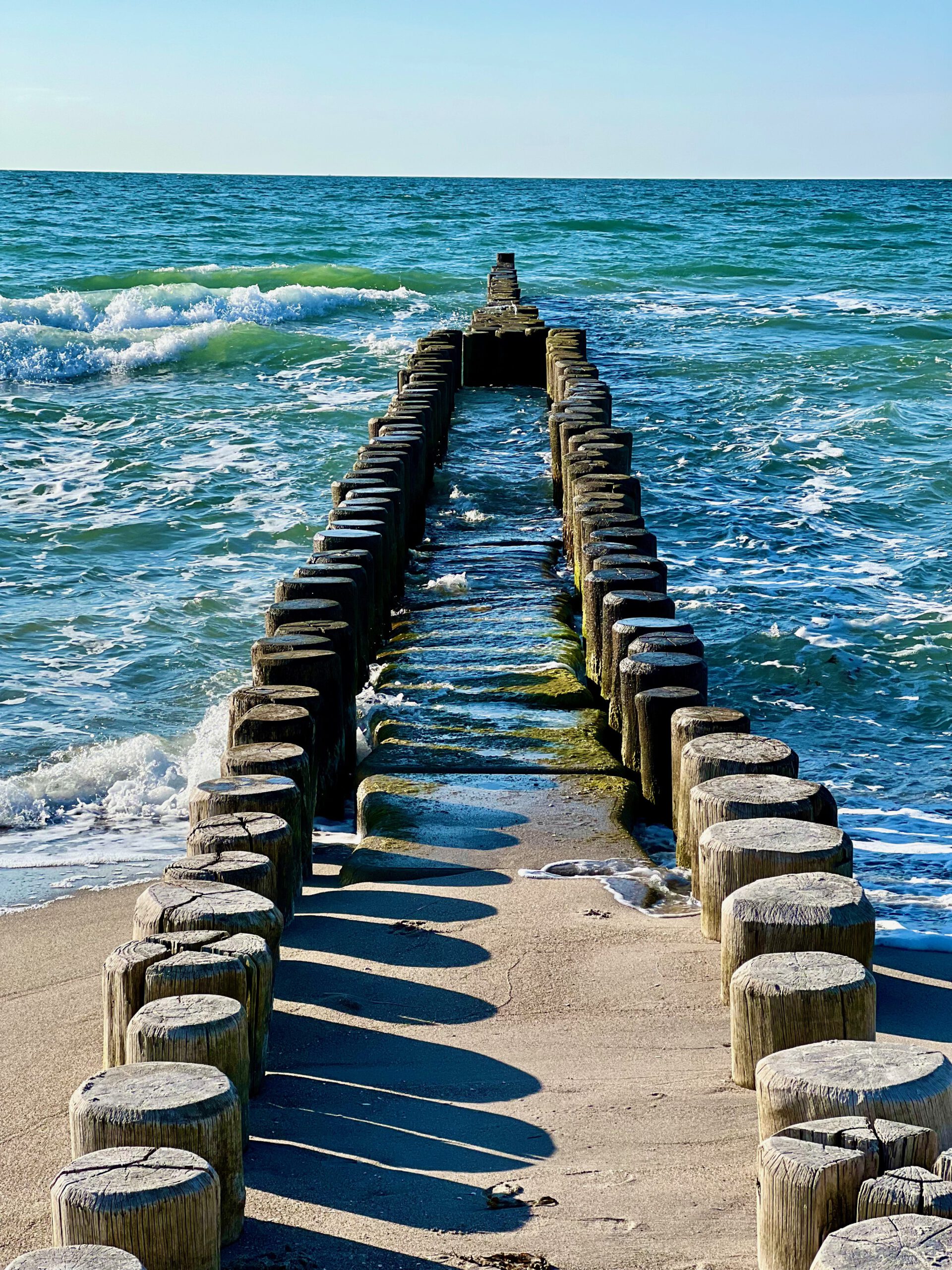 Saphenion®: Das Schicksal der Vena saphena